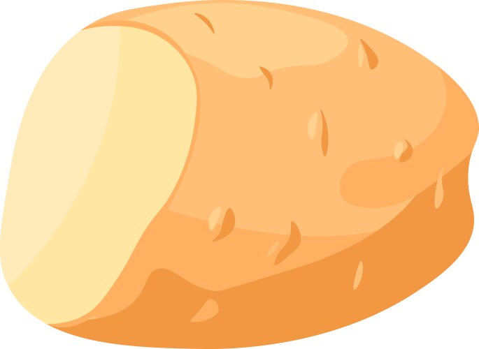 Whole potato cut for cooking preparing dishes Vector Image