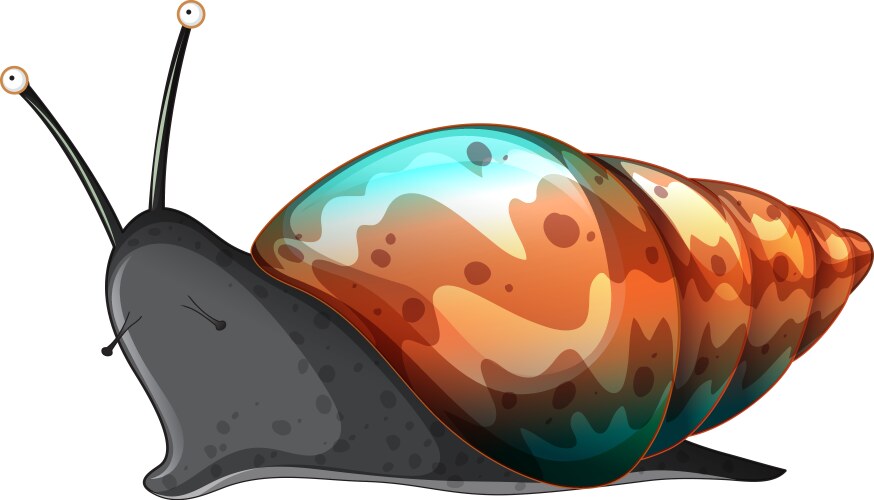 Clock with snail template Royalty Free Vector Image