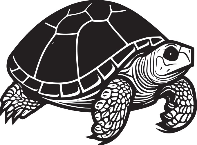 Leatherback Turtle Vector Images (over 190)