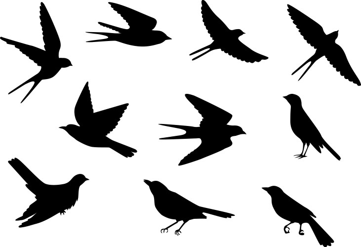 Birds Vector Images (over 550,000)