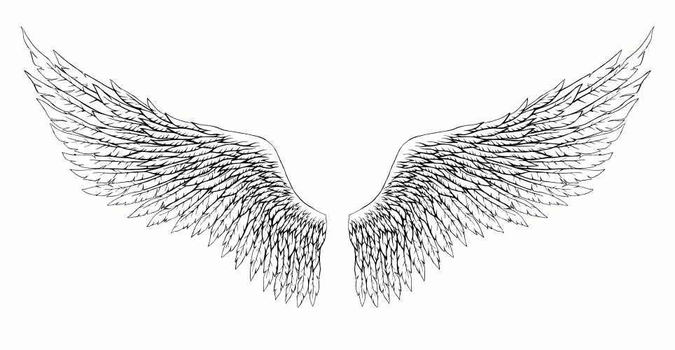 Realistic Angel Wings Drawing Angel Wings Set