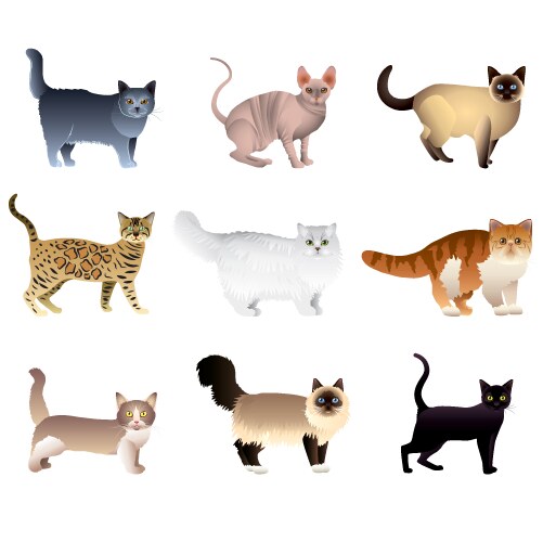 Cats Vector Images (over 370,000)