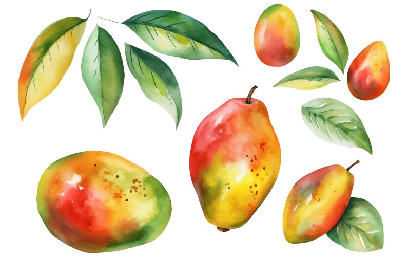 Mango Vector Images (over 20,000)
