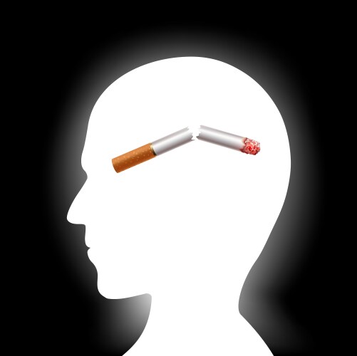 Realistic cigarette with white filter Royalty Free Vector