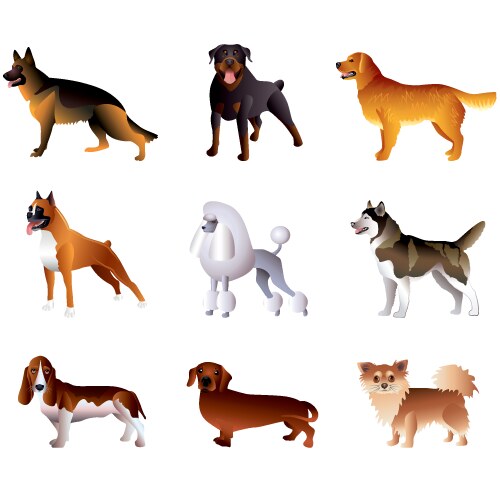 Dog Vector Images Over 440 000