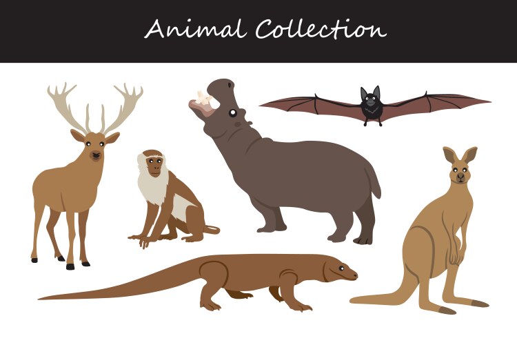 Animals collection isolated on white background Vector Image