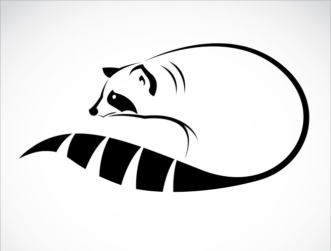 Raccoon Vector Images (over 20,000)