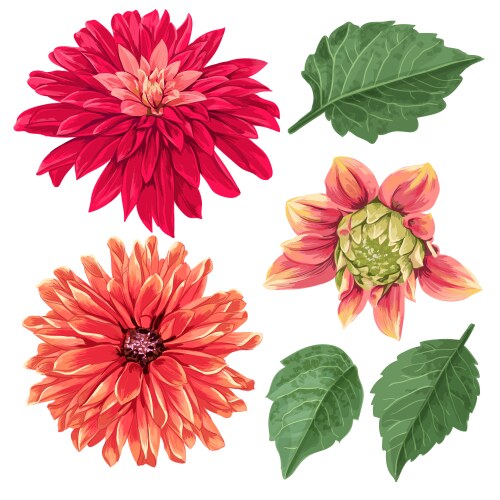 Free Flower Vector Images (over 64,000)