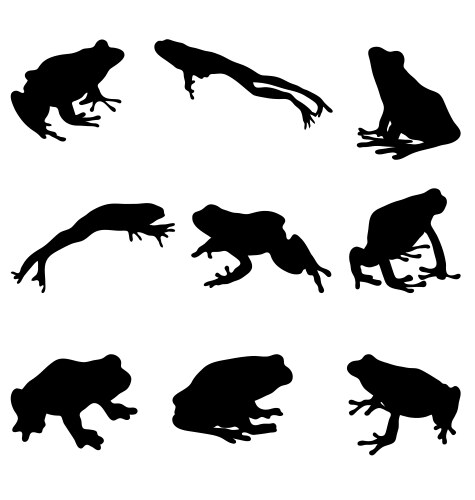 Frog Vector Images (over 28,000)