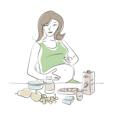 Diet plan Royalty Free Vector Image - VectorStock