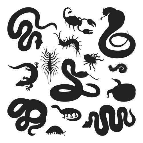 Four scary snakes Royalty Free Vector Image - VectorStock