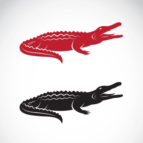 Crocodile Royalty Free Vector Image - VectorStock