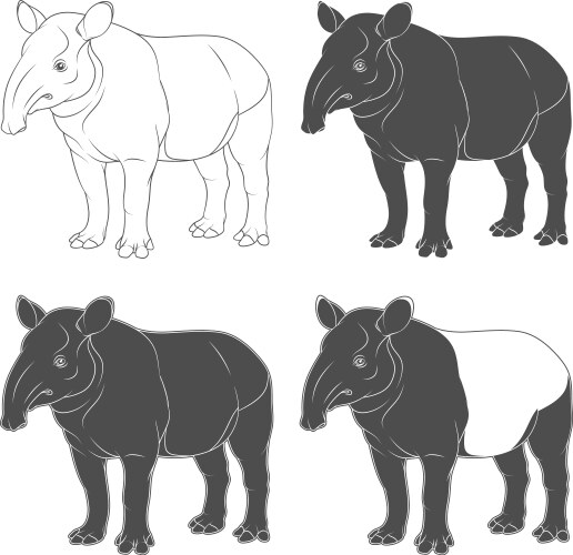 Cute malayan tapir standing as asian animal Vector Image