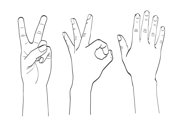 Hands from holes set Royalty Free Vector Image