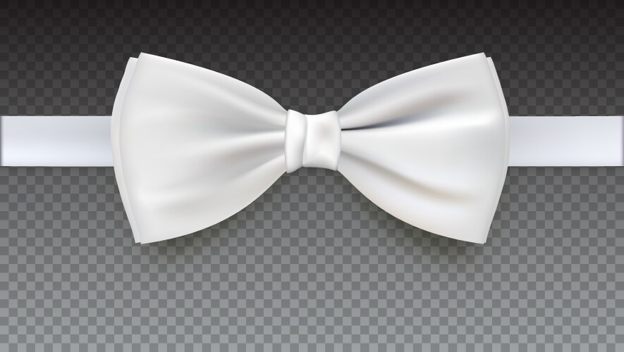 Realistic bow tie Royalty Free Vector Image - VectorStock