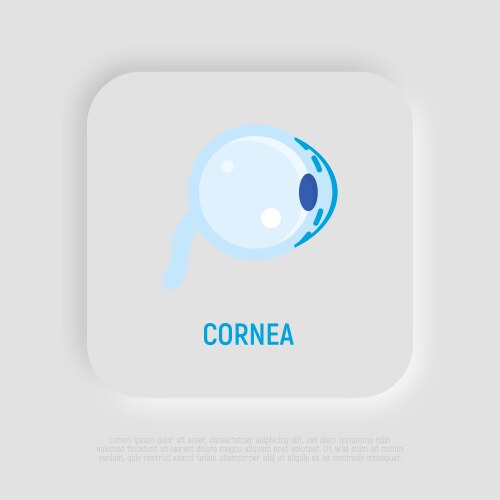 Cornea Vector Images (over 2,900)