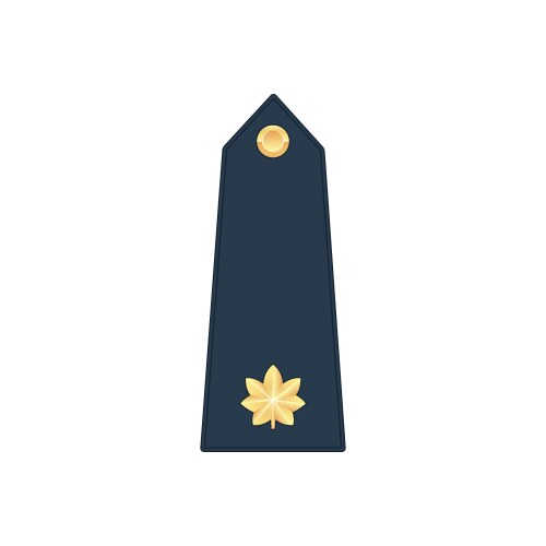 First sergeant 1sg soldier military rank insignia Vector Image