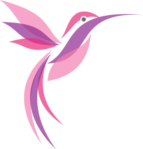 Colorful hummingbird icon symbol in flat style Vector Image