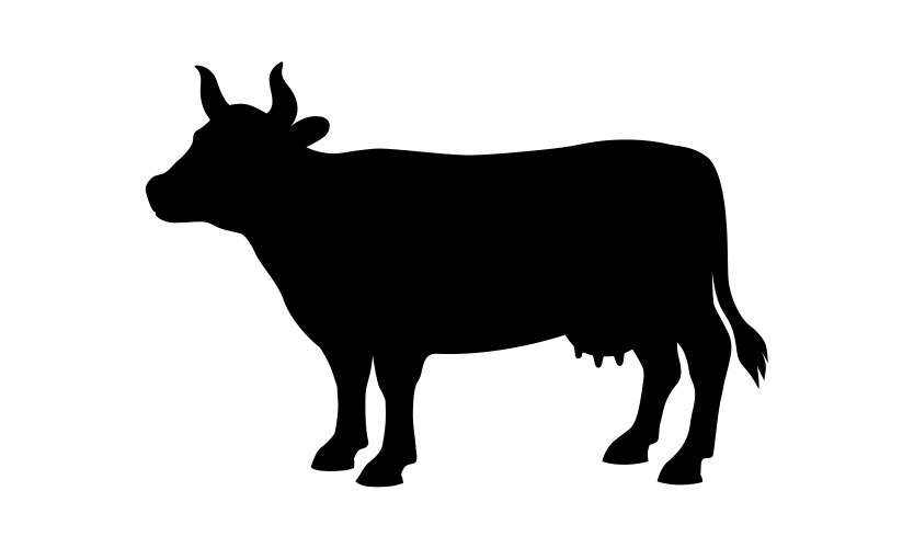 Simmental cow and bull couple Royalty Free Vector Image