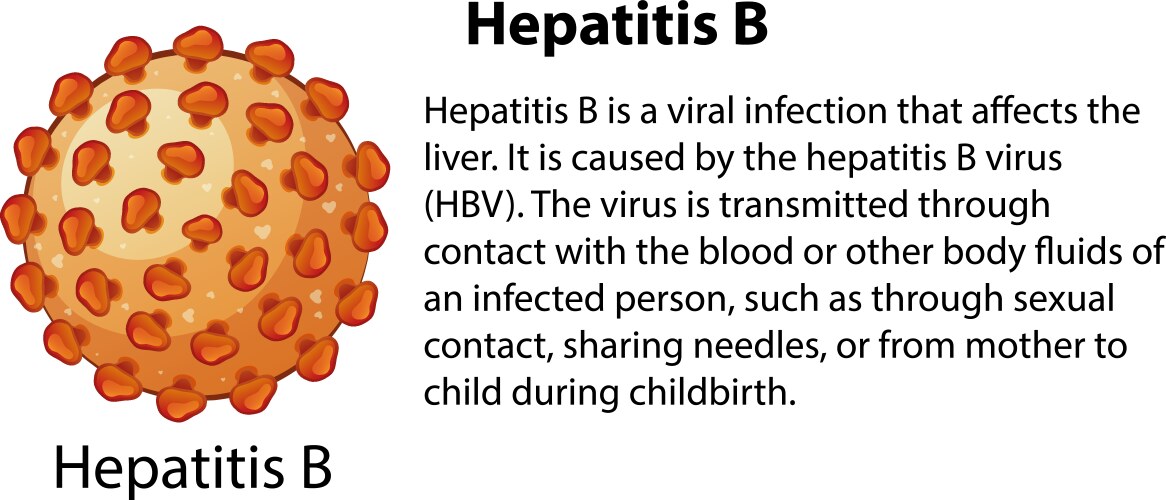 Hepatitis B Vector Images (over 980)