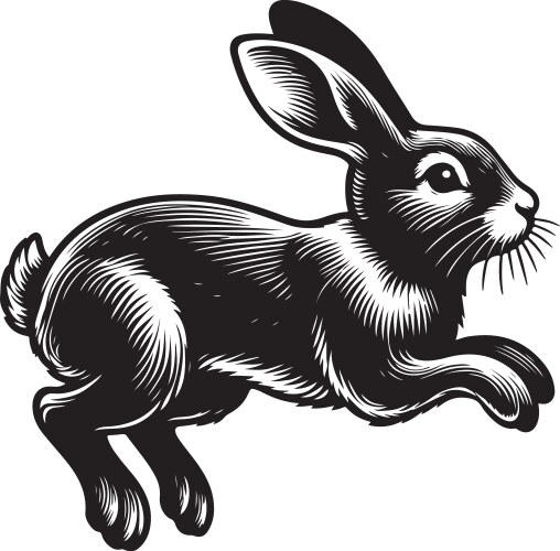 Rabbit Clip Art Black And White Black White Bunny Clipart Images