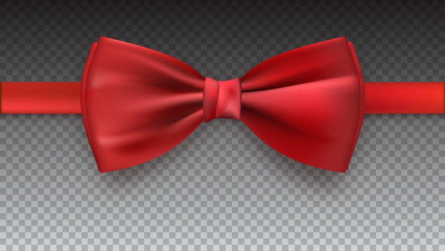 Red bow hand drawn on transparent Royalty Free Vector Image