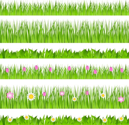 Green grass border for summer landscape Royalty Free Vector