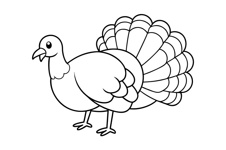Turkey line art Royalty Free Vector Image - VectorStock