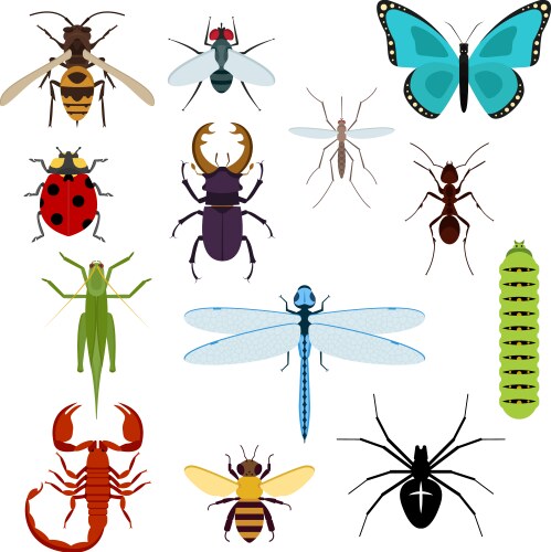 Frame with insects cartoon parasites border Vector Image