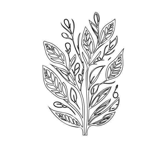 Heather flower plant sketch outline Royalty Free Vector