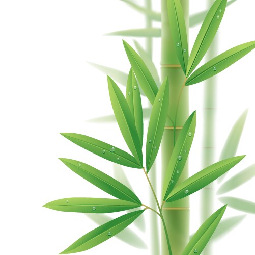 Bamboo Vector Images (over 45,000)