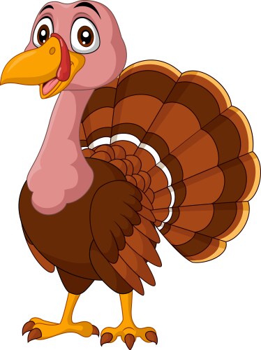 Cartoon turkey isolated on white background Vector Image