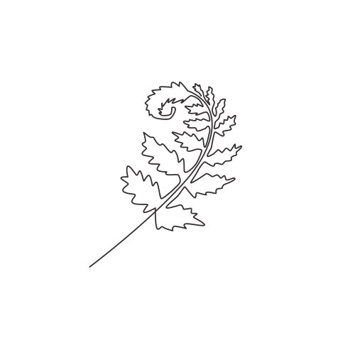 Fern Line Drawing Vector Images (over 1,000)