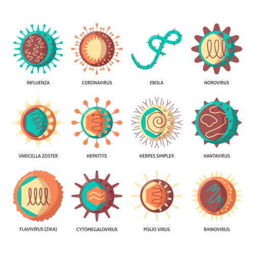 Polio Vector Images (over 640)