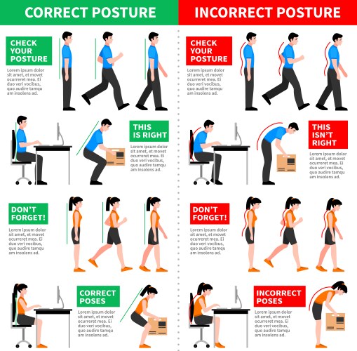 Correct and incorrect posture flat icons Vector Image
