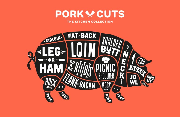 Cow beef scheme diagram chart pork butcher Vector Image