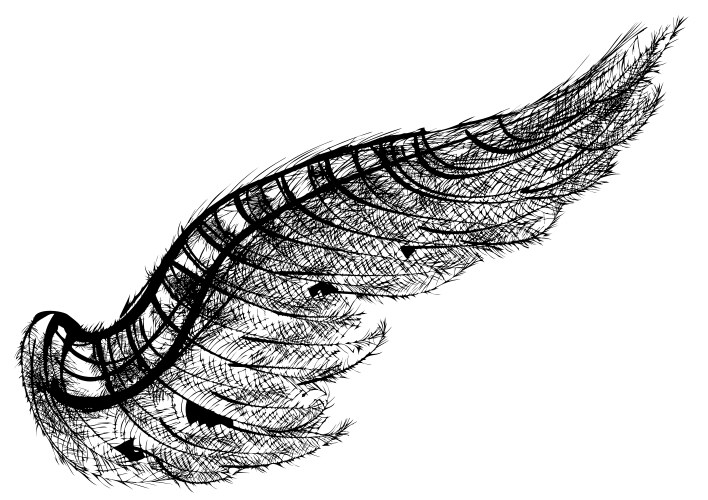 Angel Single Wing Vector Images (over 1,300)