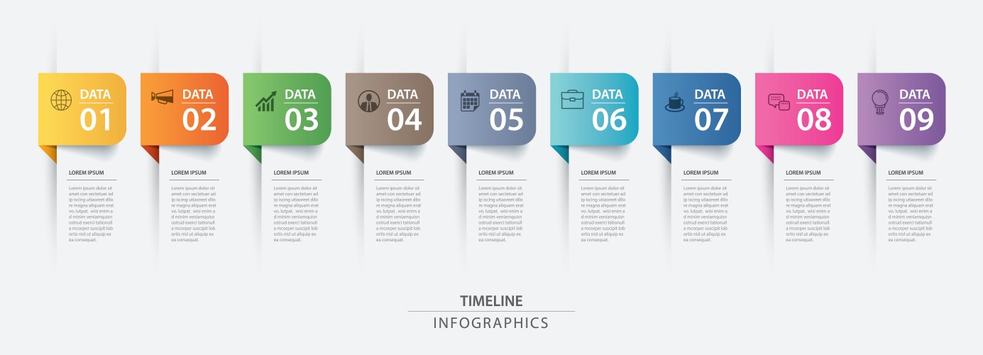 Infographics tab in horizontal paper index with 5 Vector Image