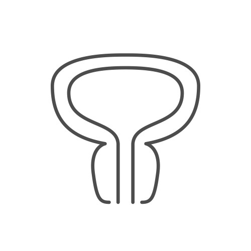 Prostate gland in male human Royalty Free Vector Image