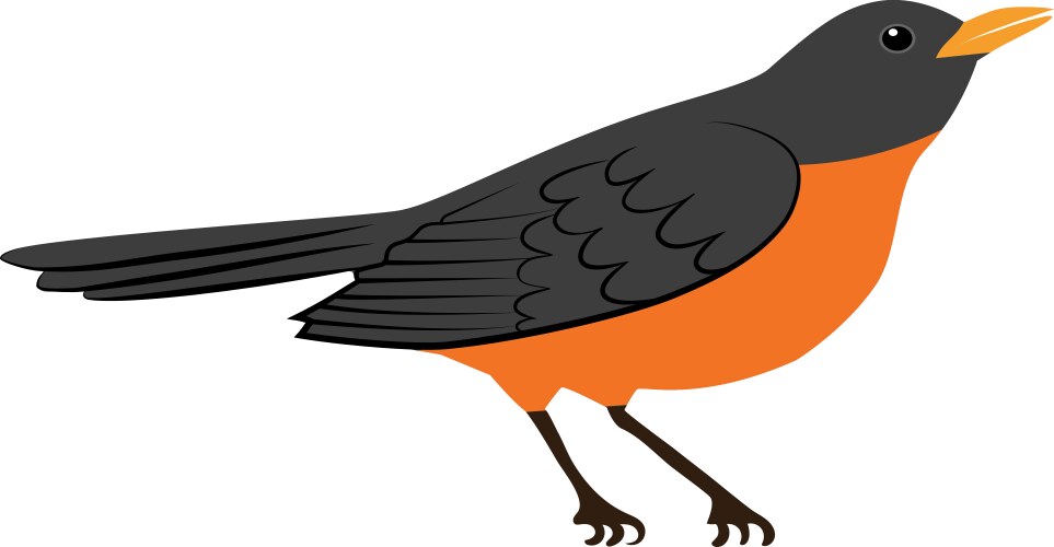 Free Robin Bird Vector Images (47)