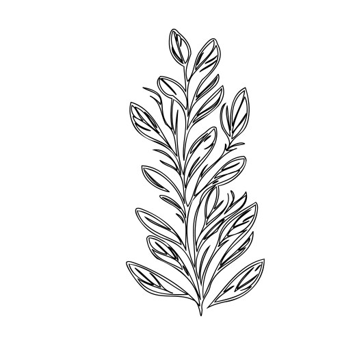 Heather flower plant sketch outline Royalty Free Vector