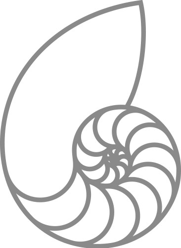 Nautilus shells Royalty Free Vector Image - VectorStock