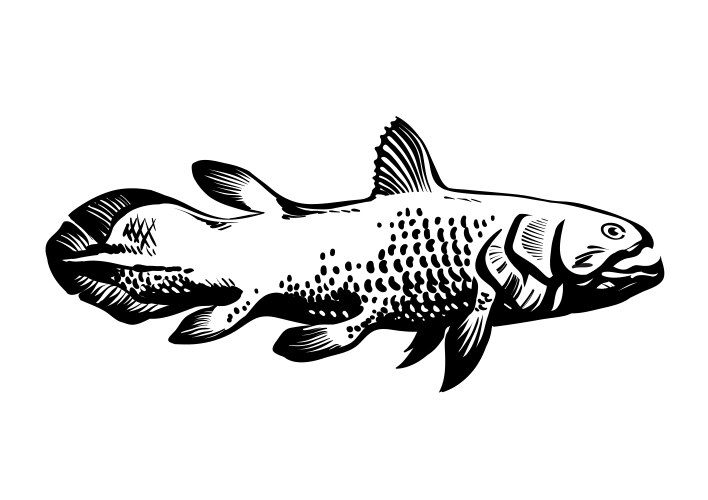 Fish Coelacanth Prehistoric Vector Images (96)
