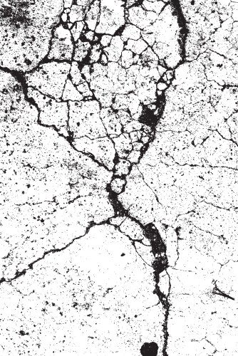 Craquelure pattern grunge cracks cracked painted Vector Image