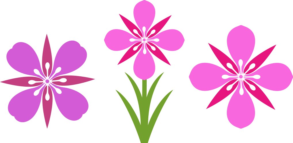 Fireweed Vector Images (over 200)