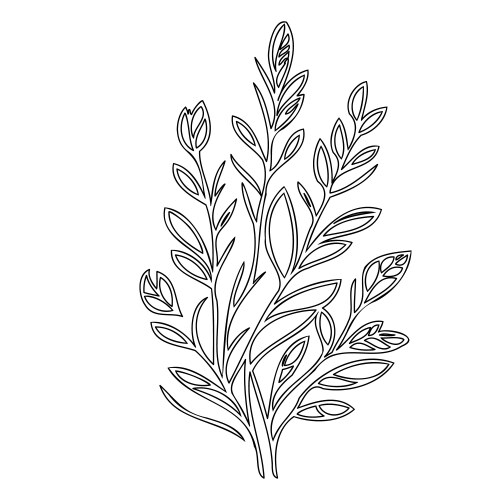 Heather flower plant sketch outline Royalty Free Vector