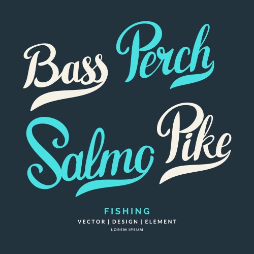 Lettering calligraphic poster with phrase Vector Image