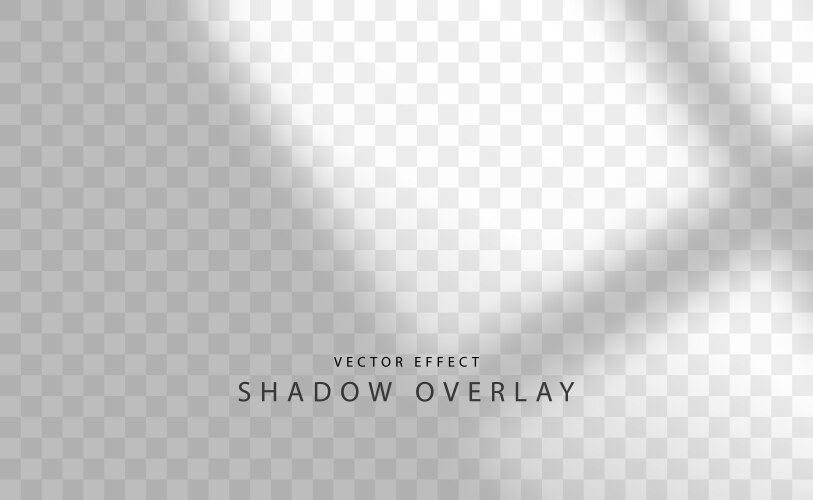 Realistic shadow overlay background aesthetic Vector Image