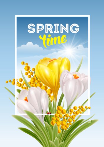 A spring decorative bouquet of roses flowers Vector Image