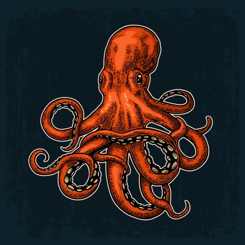 Monster Kraken Color Royalty Free Vector Image
